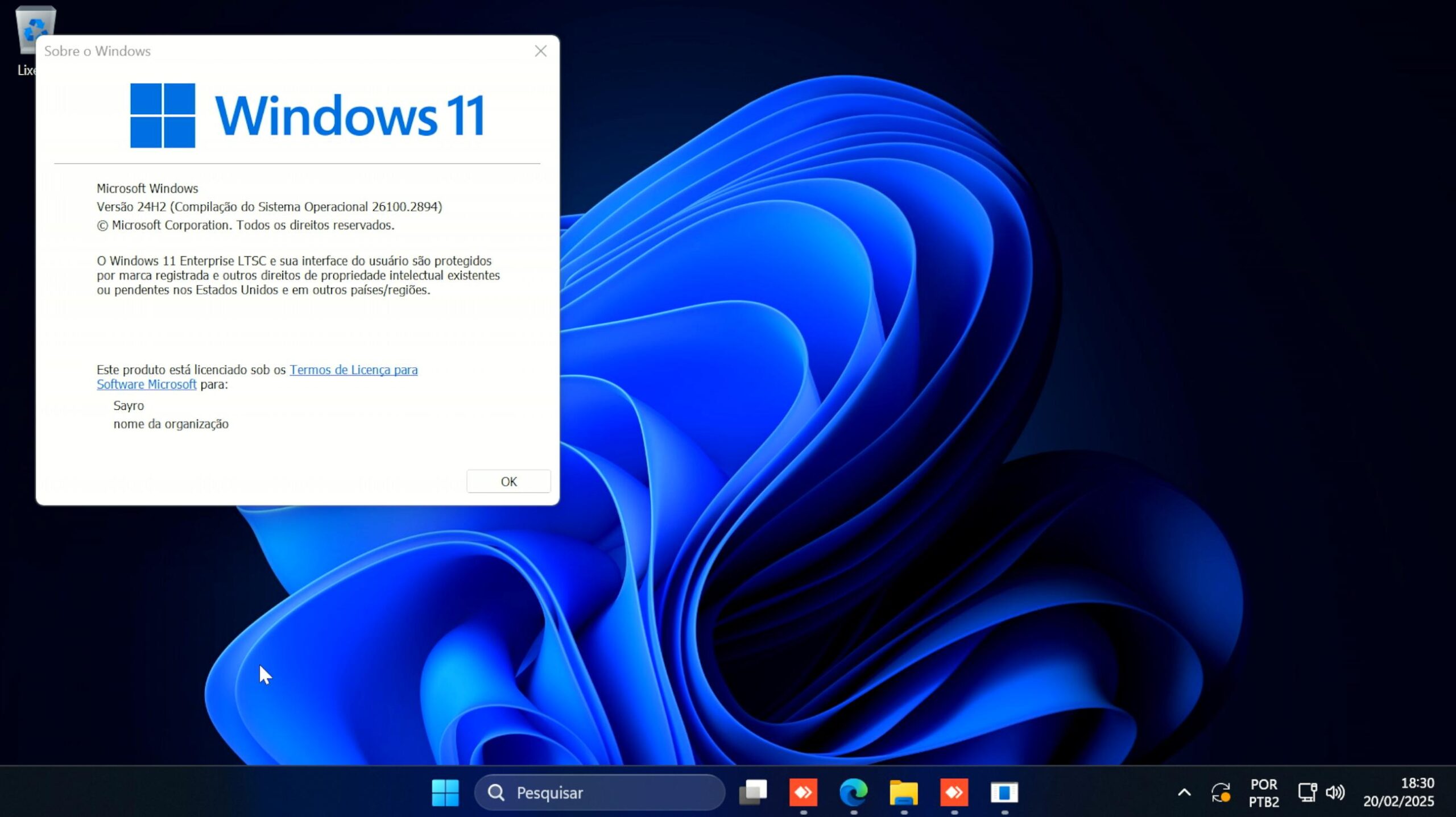 Windows 11 LTSC - Sayro Digital